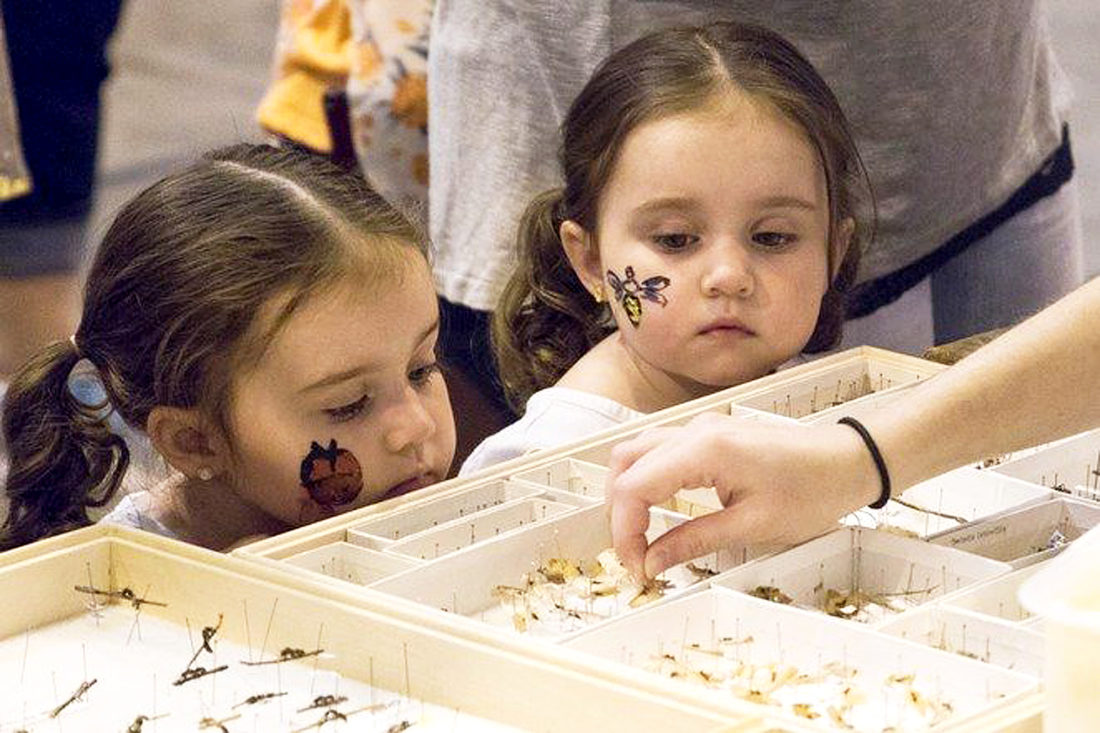 Penn State’s Great Insect Fair celebrates insects in pop culture | News ...